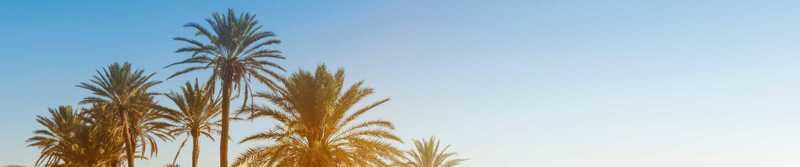 Arboleas Area Guide - A Place in the Sun