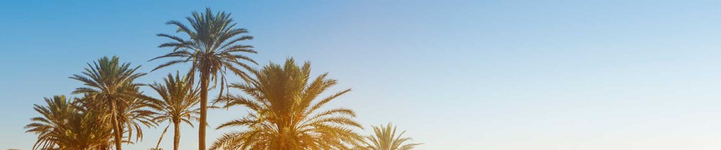 Arboleas Area Guide - A Place in the Sun