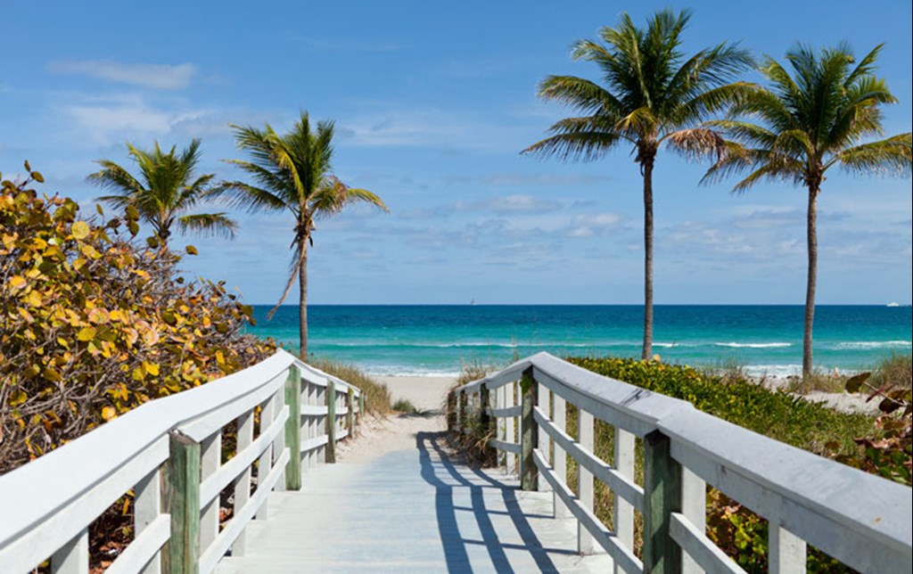 Explore Florida Property Hotspots with Our Interactive Map | A Place in ...